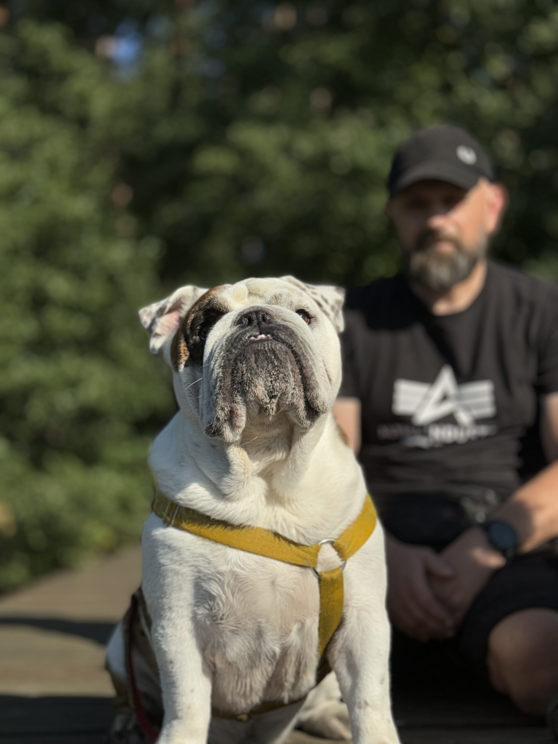 2025 - Copernicus Festival